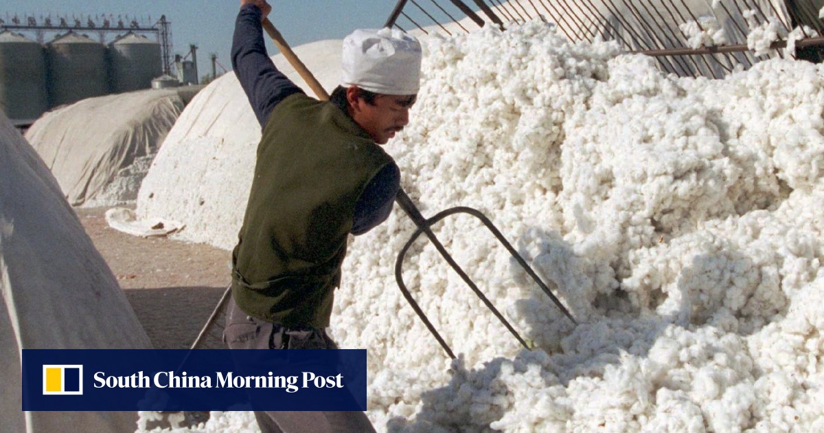 China’s Xinjiang faces hidden risk from debt-heavy XPCC, with spending ...