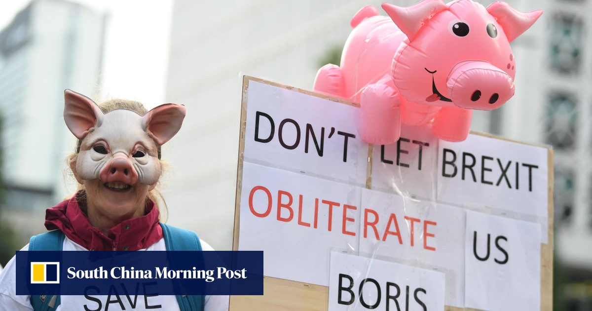 First petrol, now pork: UK calls for 800 foreign butchers to avoid pig ...