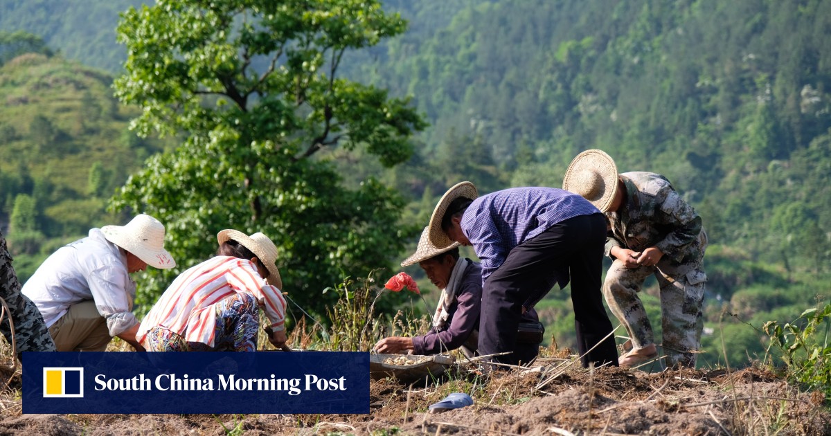 ‘The time is now’: Xi Jinping calls on China to rally for common ...