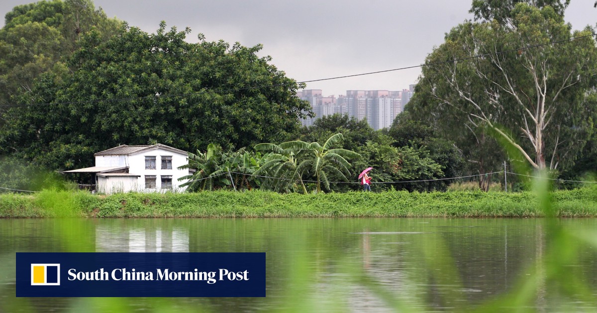 Property Developer With Rights To Prized Wetlands In Northern