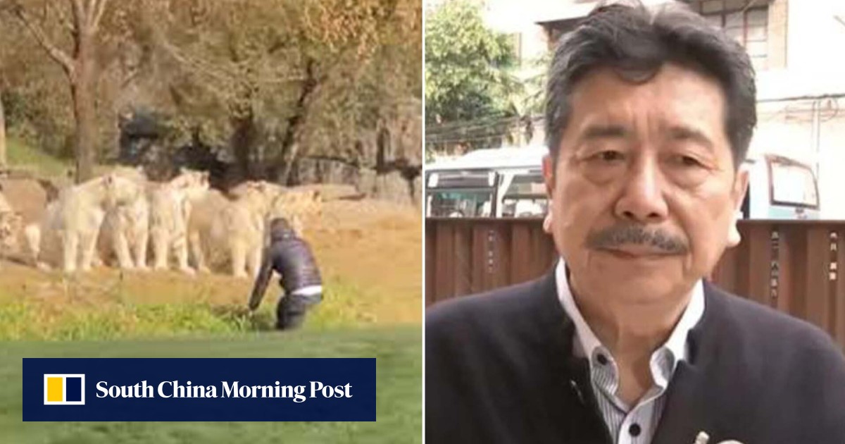 Quirky China: A man stares down white tigers, a grandson lives with ...