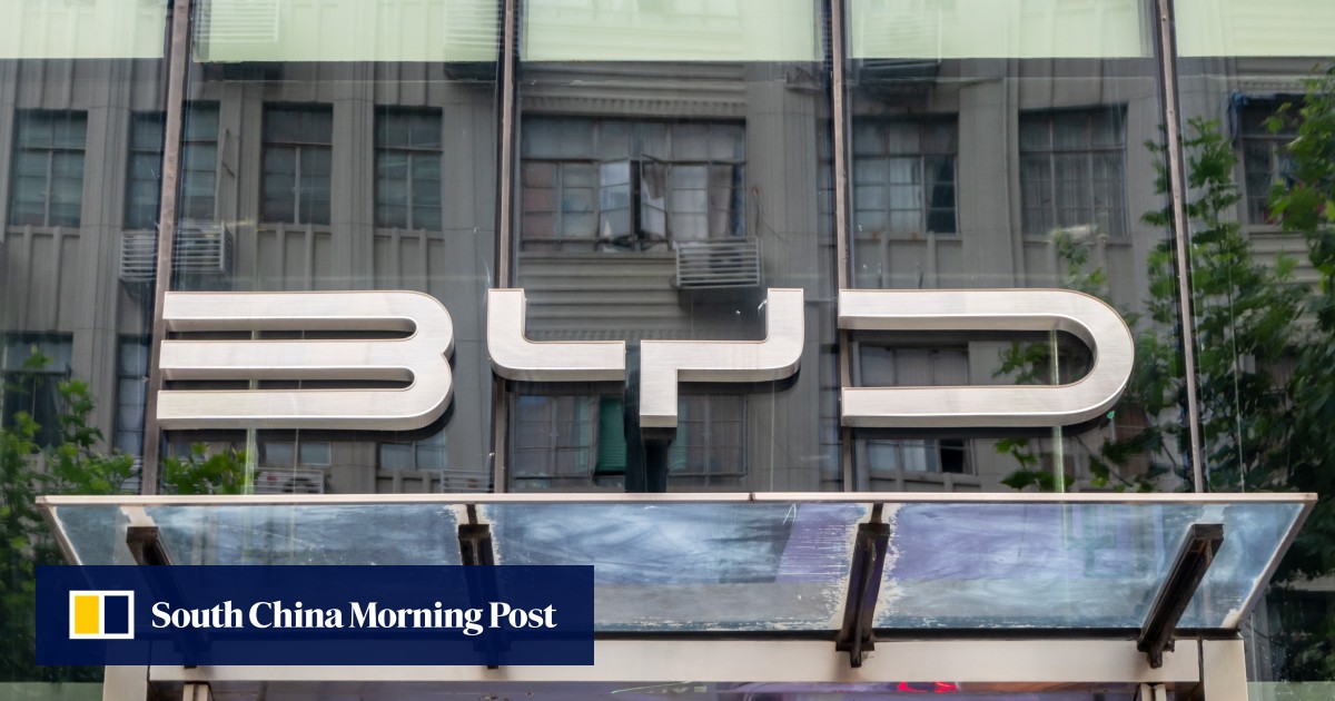 BYD, backed by Buffett’s Berkshire Hathaway, prices follow-up stock ...