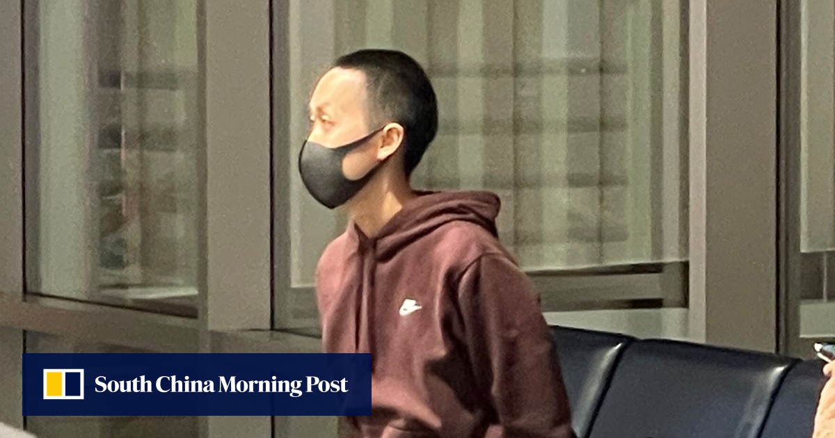 US charges passenger Brian Hsu, who allegedly punched flight attendant ...