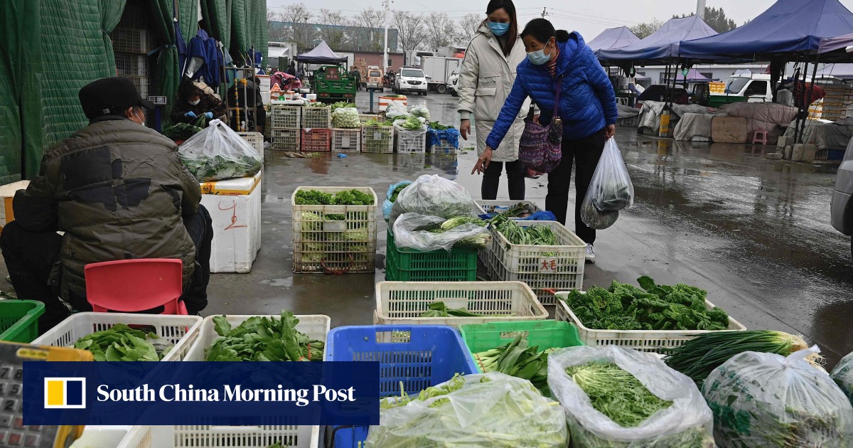 China food security: Beijing residents stock up on cabbages for winter ...