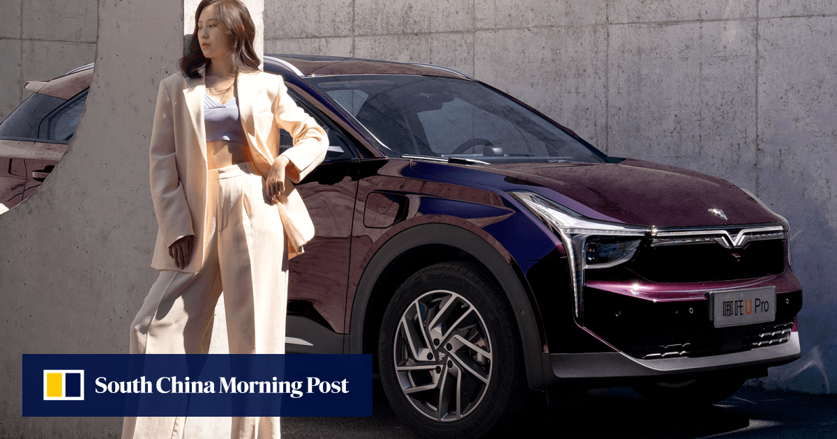 Hozon plans to raise US$1 billion in Hong Kong IPO, the latest Chinese ...