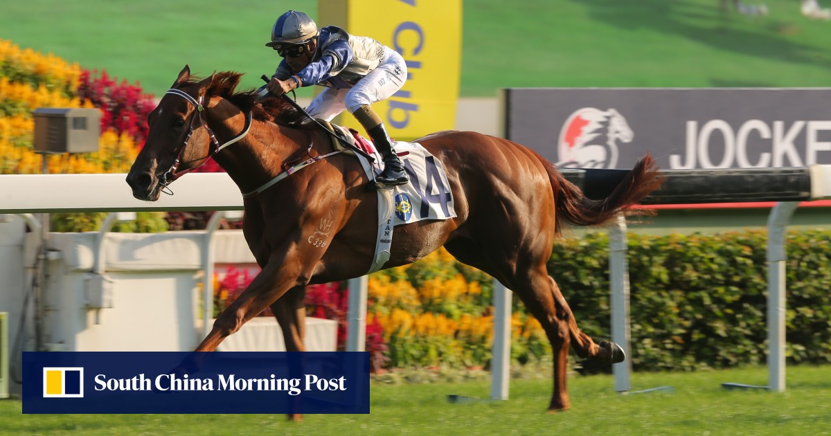 Gun sprinter Aethero forced into retirement after another bleed: ‘it’s ...