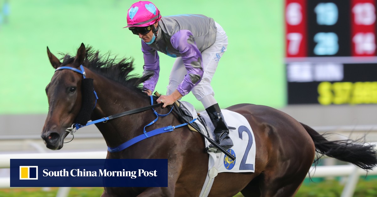 Jimmy Ting confident My Sugar can make it four in a row: ‘he can win on ...