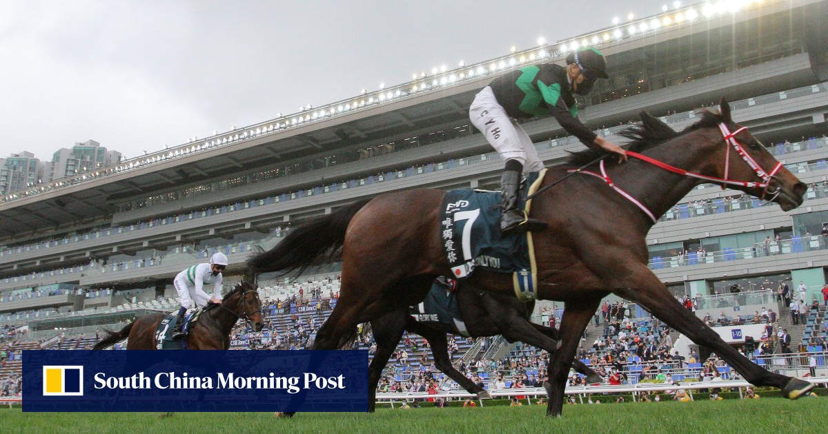 HKIR: Watch the last start of every Hong Kong Cup runner, including ...