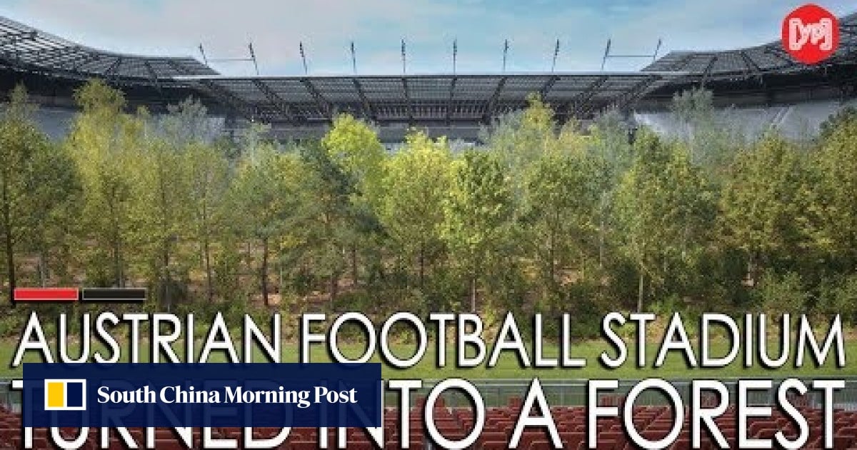 Austrian football stadium turned into a forest | South China Morning Post
