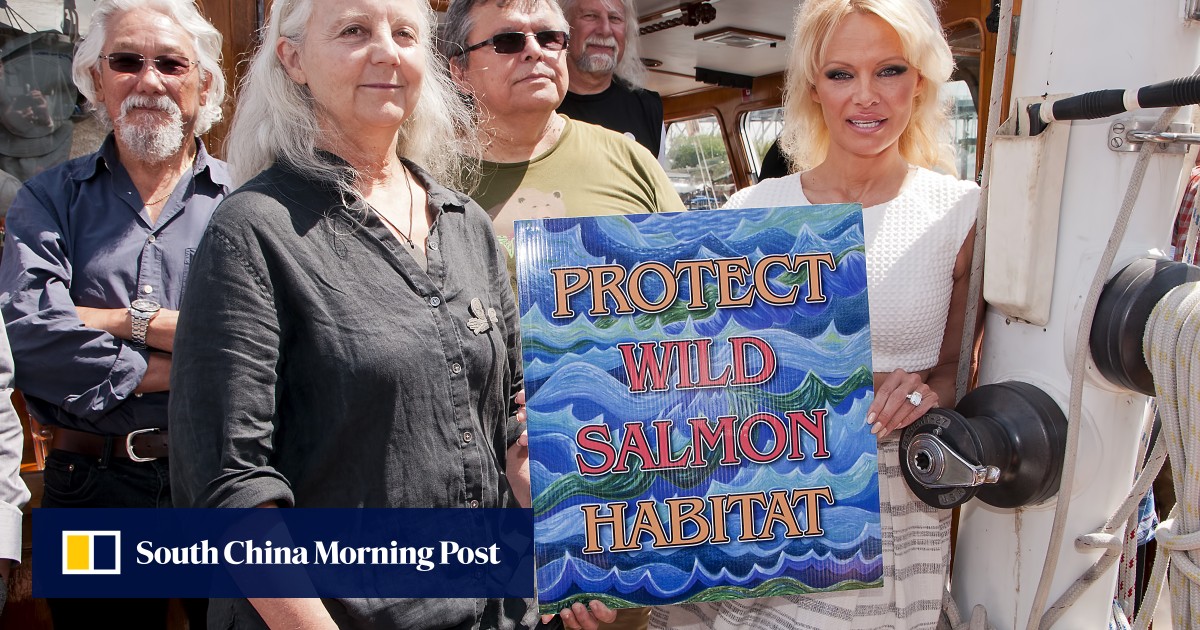 Pamela Anderson joins Sea Shepherd in anti-fish-farm campaign | South ...