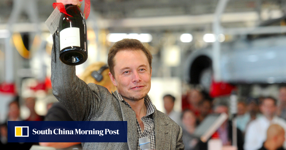 Elon Musk's grandparents were adventuring pilots who spent years ...