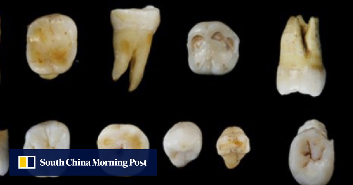 Fossils found in Chinese cave rewrite history of human migration out of ...