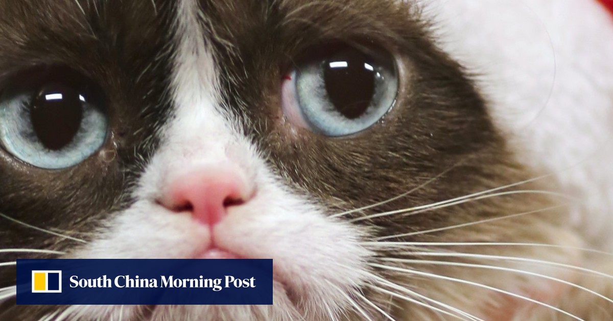 Forbes 400 ‘fat cats’ are worth as much as all 36 million US households ...