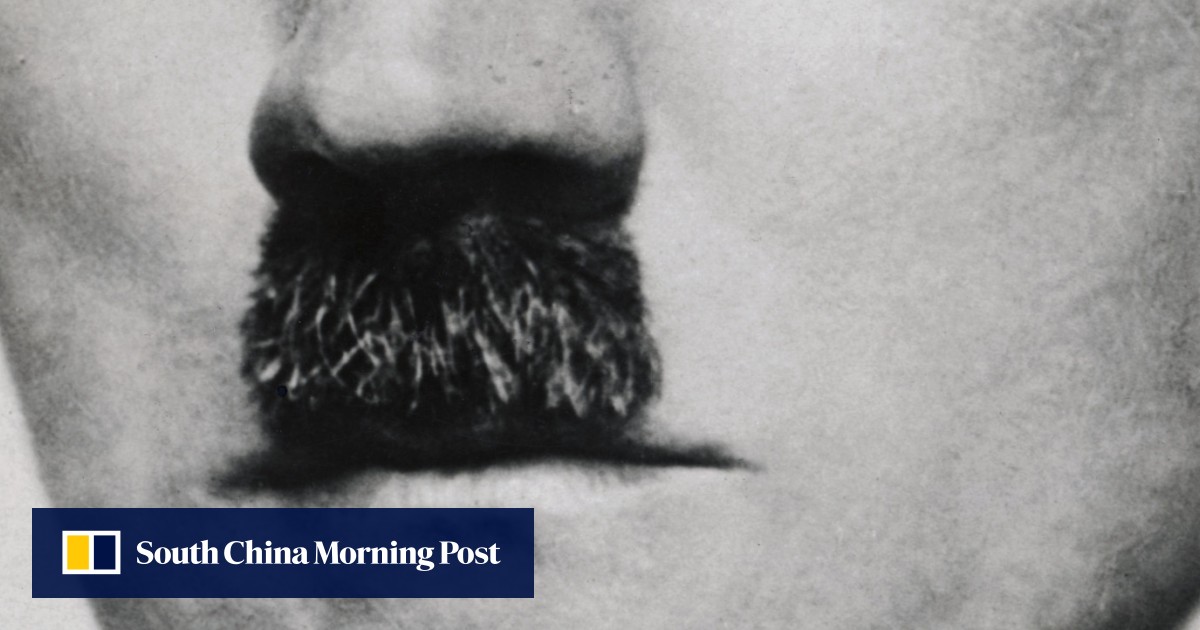 Book review: Of Beards and Men - facial hair from hipsters to Hitler ...