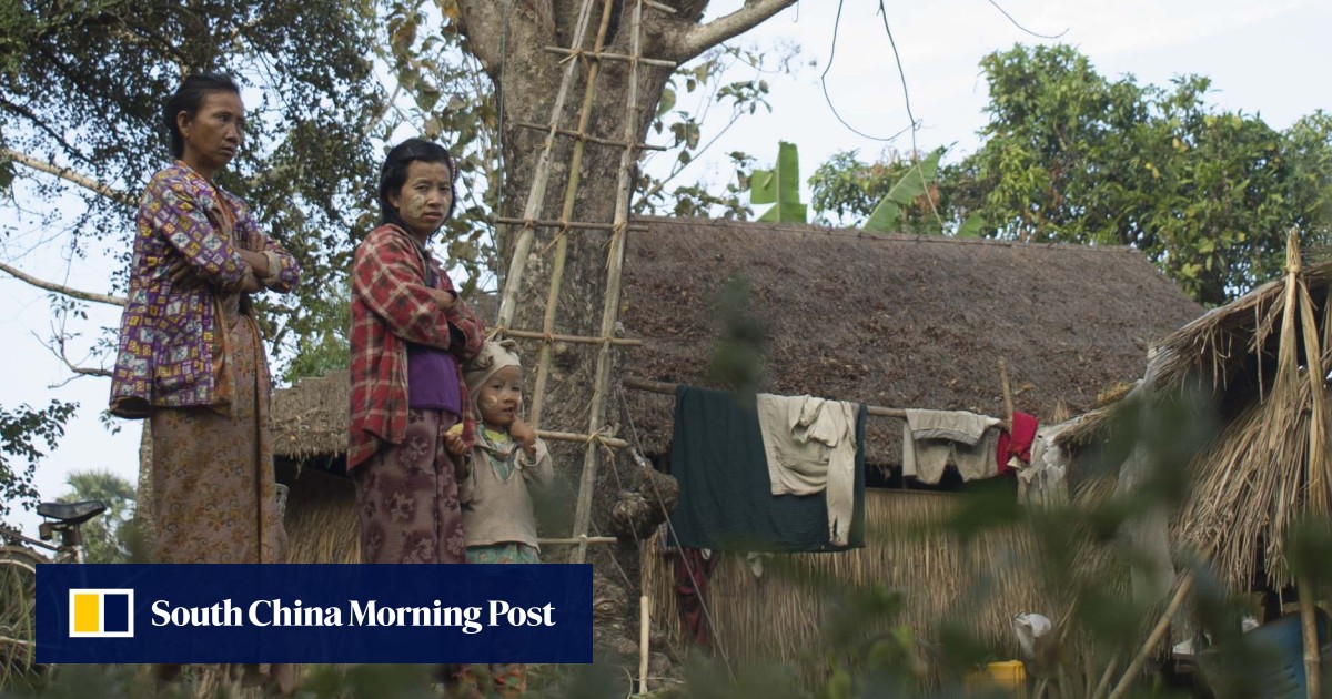 Rampaging elephants force Myanmar villagers to take refuge in tree-top ...