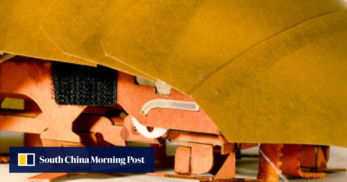 Meet the roachbot: scientists hope crushable robotic insects may help ...