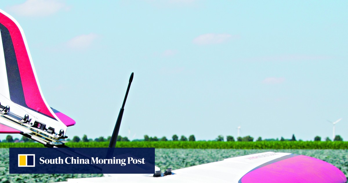 Fitbit for cows, drones to monitor plants – how tech is changing the ...