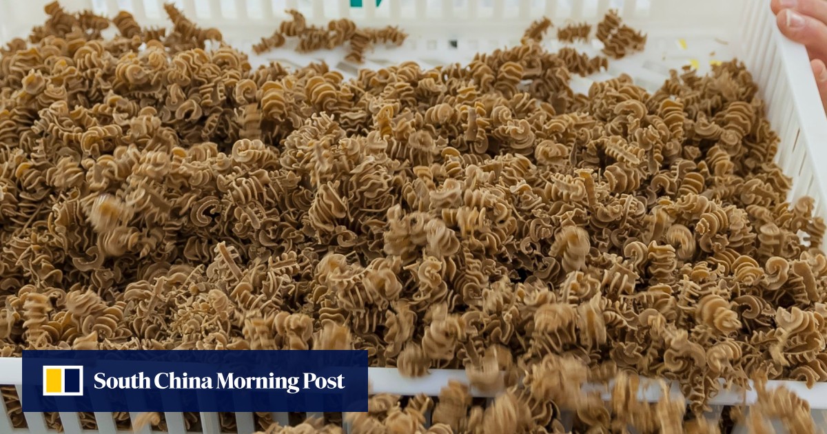 ‘It’s the protein of the future’: Meet the French pasta chef ...