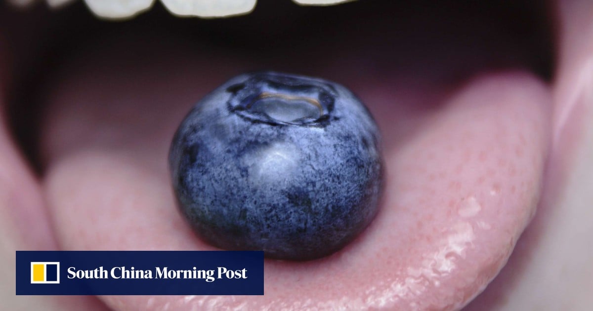 5 reasons why you'll want to eat blueberries | South China Morning Post