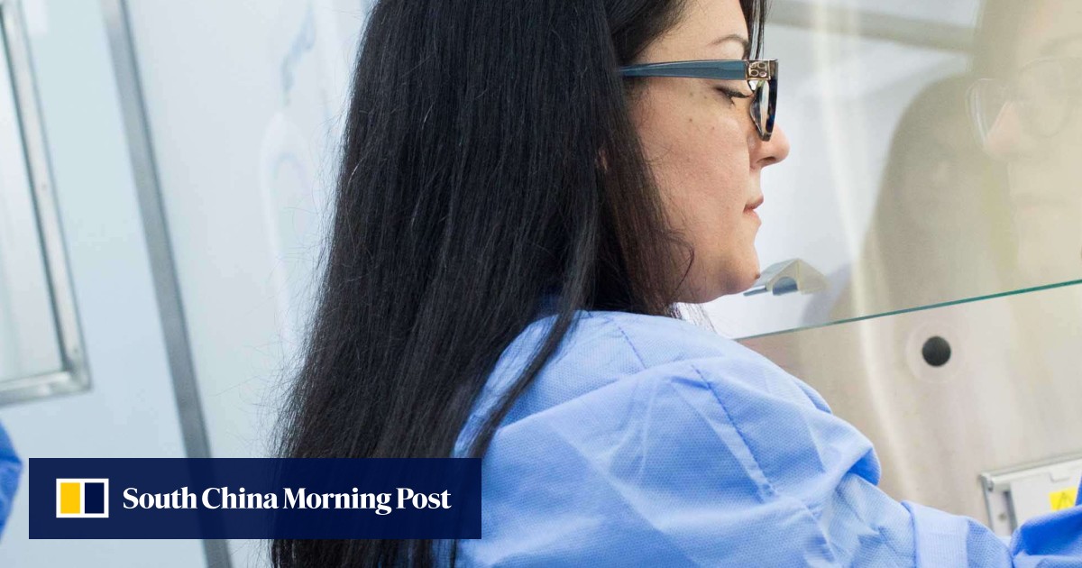 The Zika war room: Puerto Rico lab is ground zero in the US fight ...