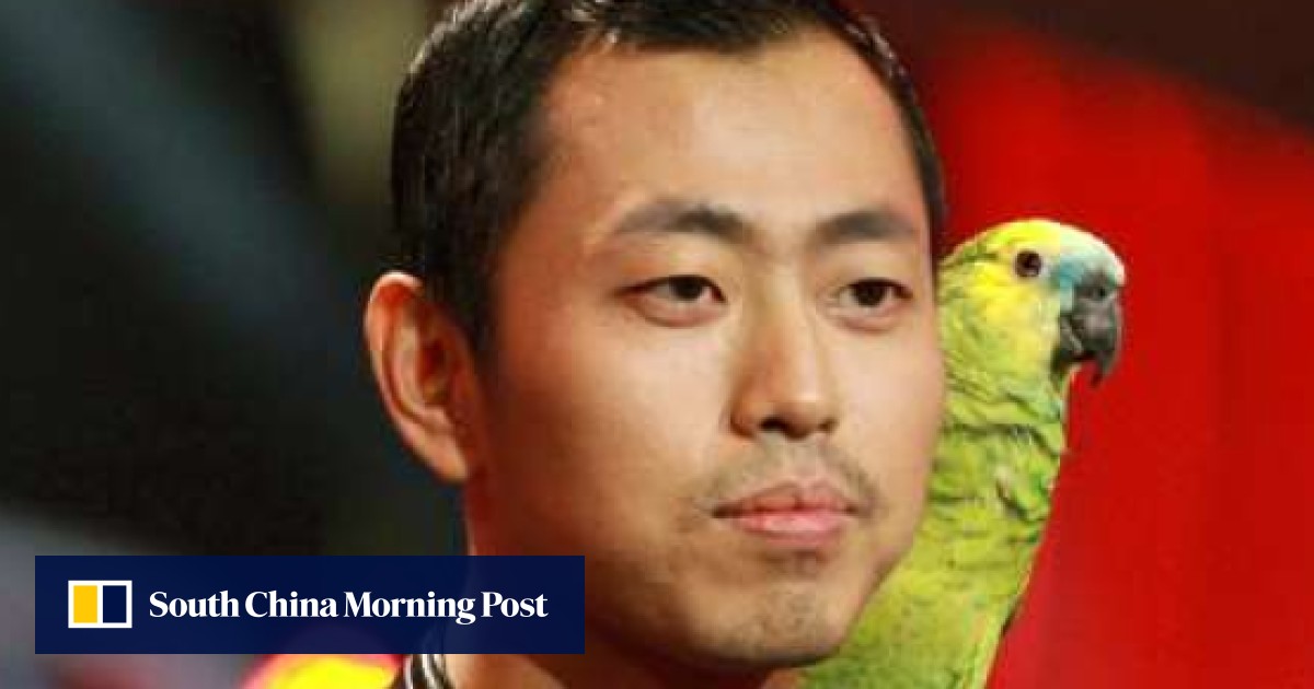 Chinese reality TV star turns detective to help trace suspect in hit ...