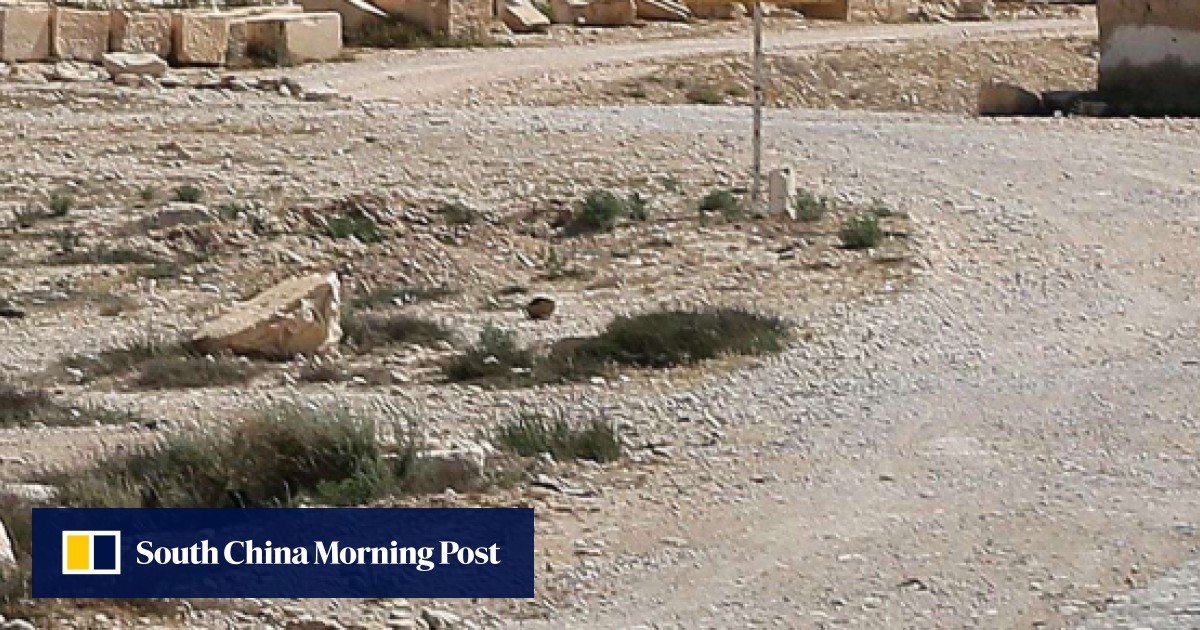 China’s new Syria envoy praises Russian military mission | South China ...