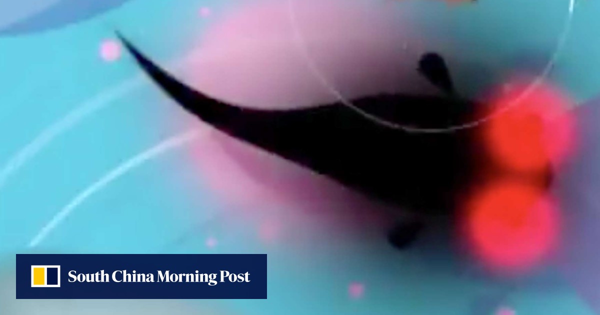 First made-in-China PS4 game to be released, and more is to come ...