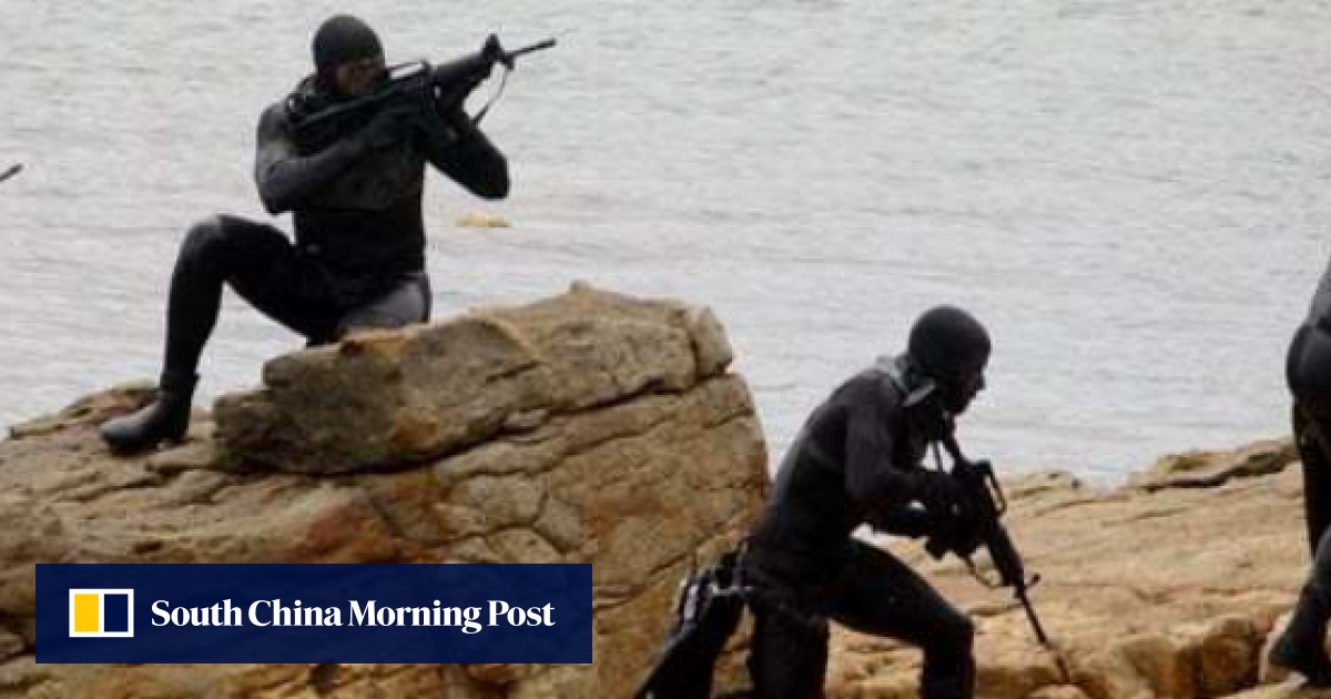 Code of silence broken: US Navy SEALs wallow in fame following bin ...