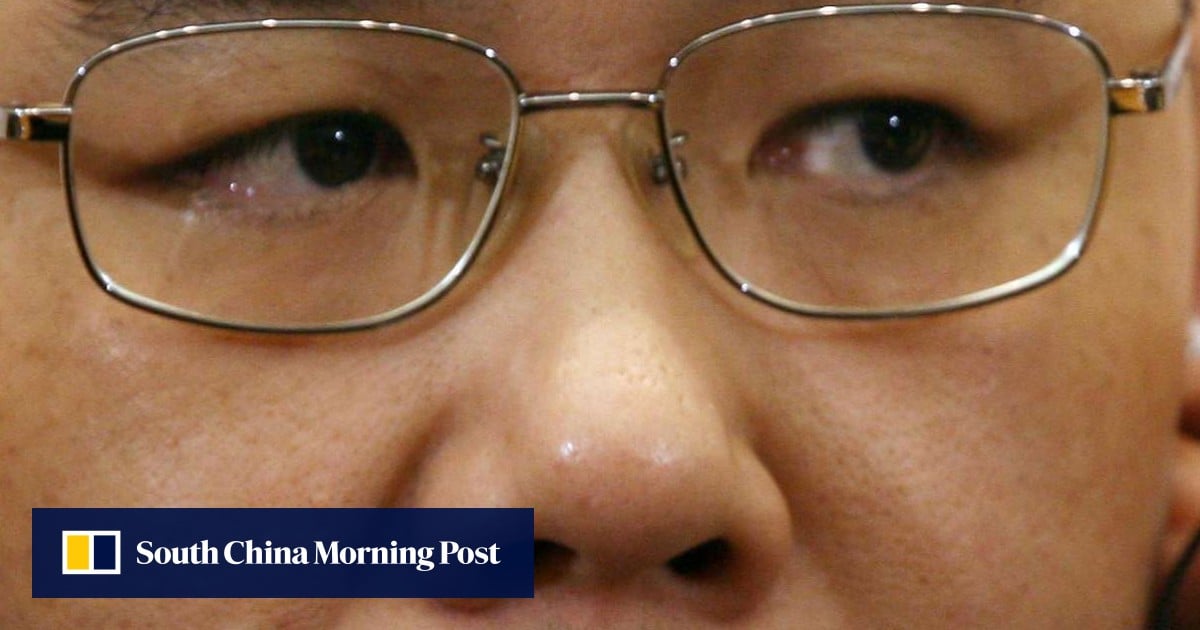 Macau chief executive Fernando Chui faces protests over mainland ...