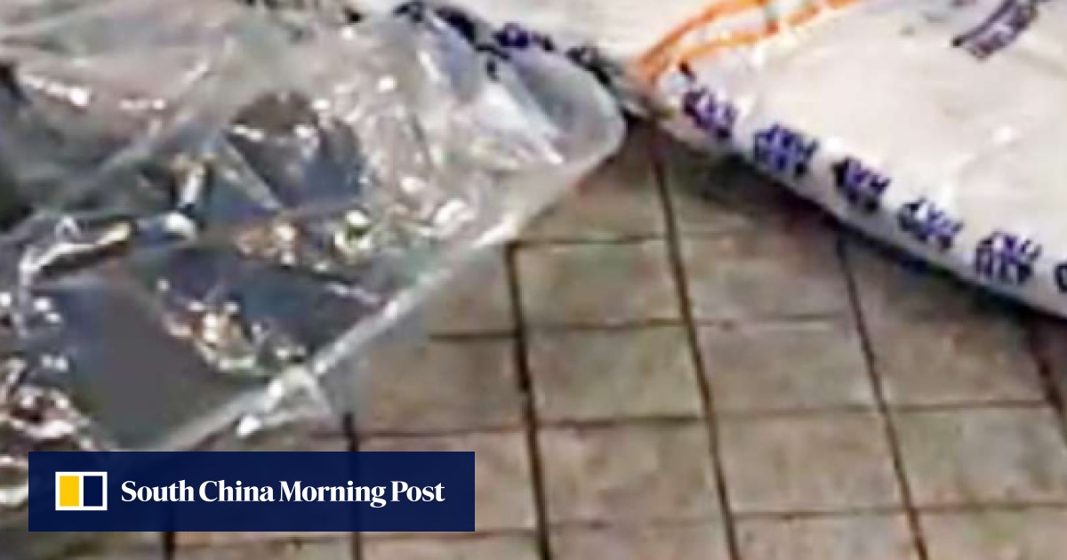 Pair arrested in Hong Kong with HK$6 million worth of crystal meth ...