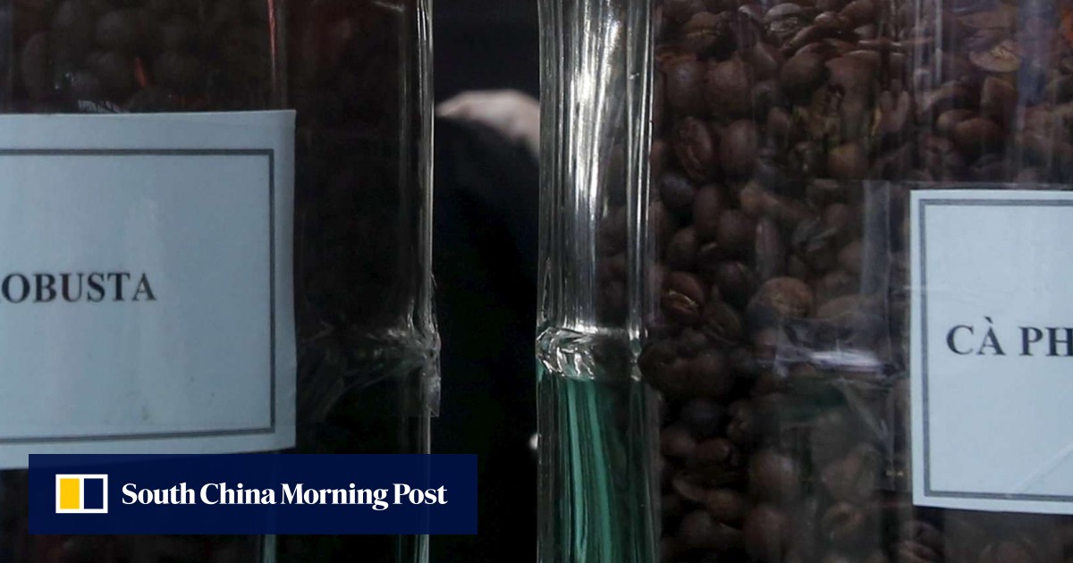 As rains begin in Vietnam, coffee farmers count cost of drought damage ...