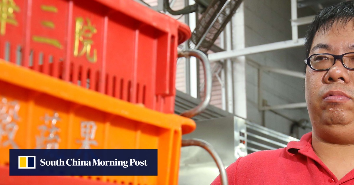 Autistic Hongkonger overcomes adversity to thrive in food processing ...