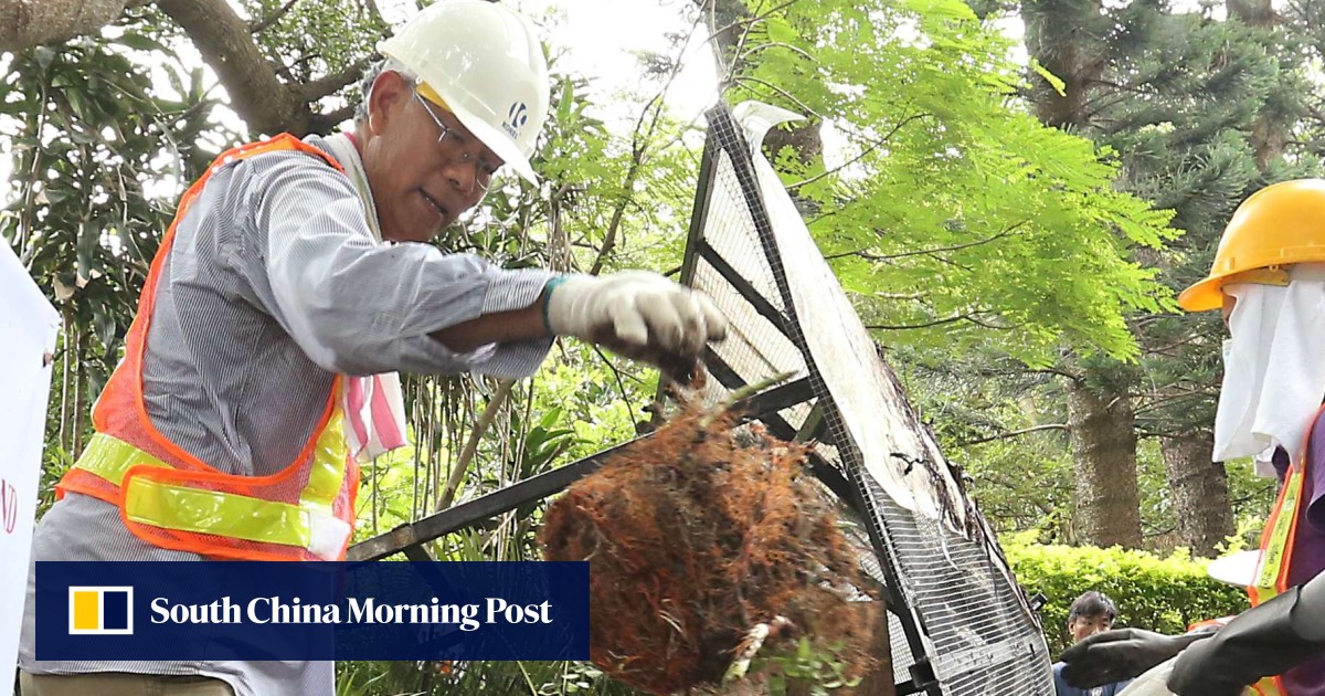 Rich and powerful must not be allowed to abuse land laws | South China ...