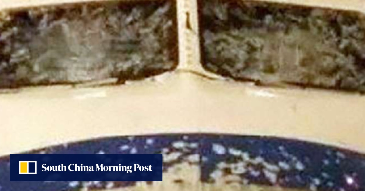 Severely damaged Chinese passenger jet lands safely after being caught ...