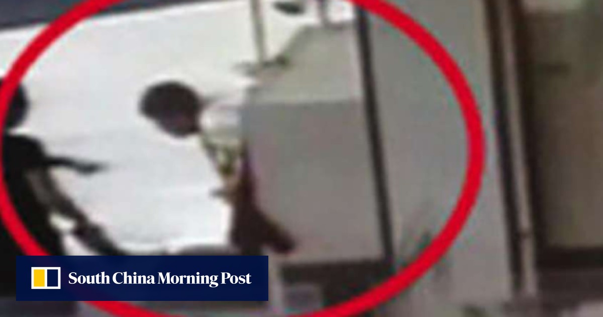 Chinese passenger in rush to catch train tries to save time by crawling ...