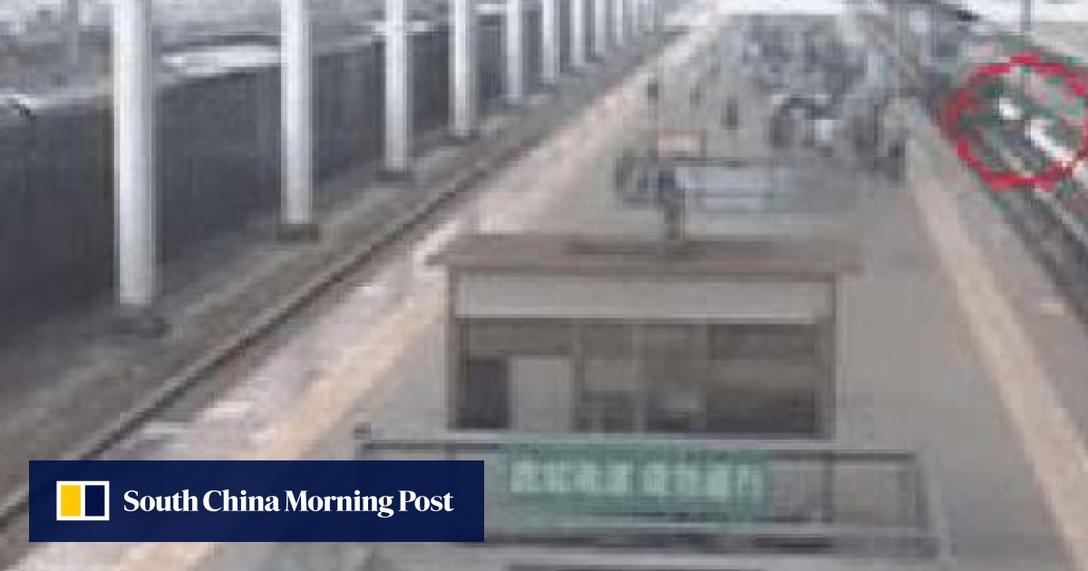 Man survives after another rail passenger shoves him in front of train ...