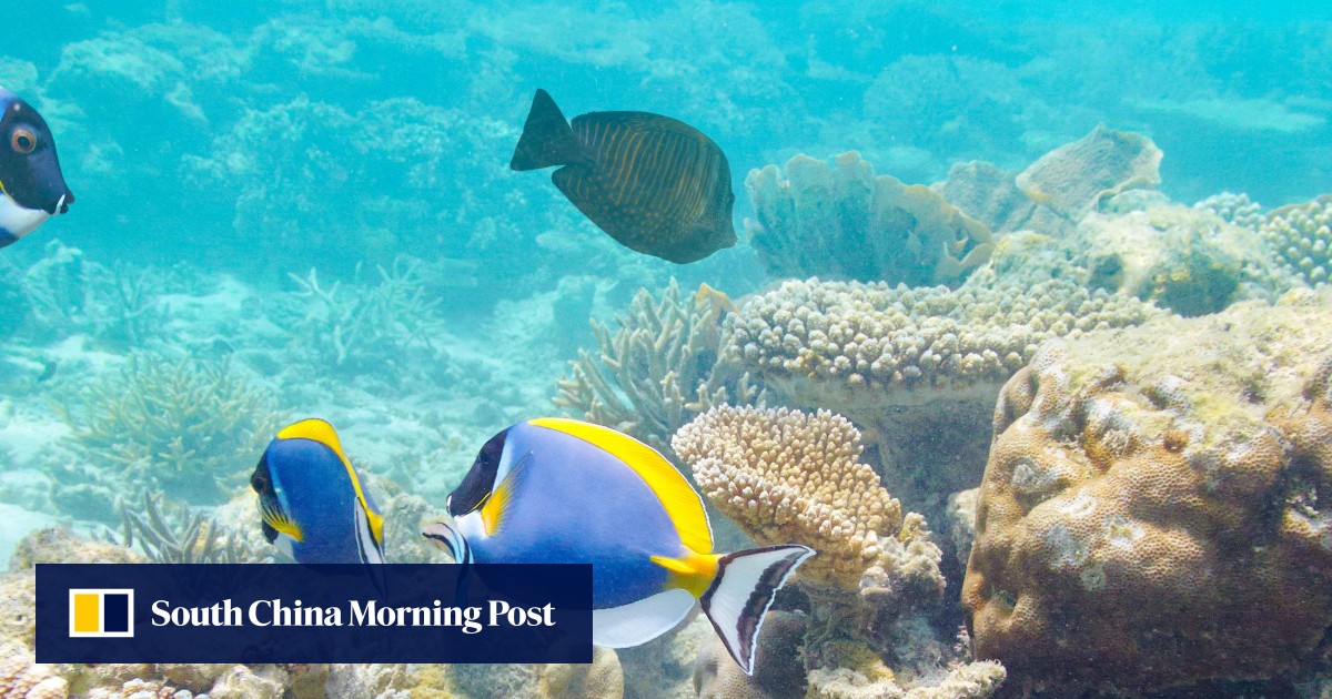 The good, bad and ugly sides of the Maldives | South China Morning Post
