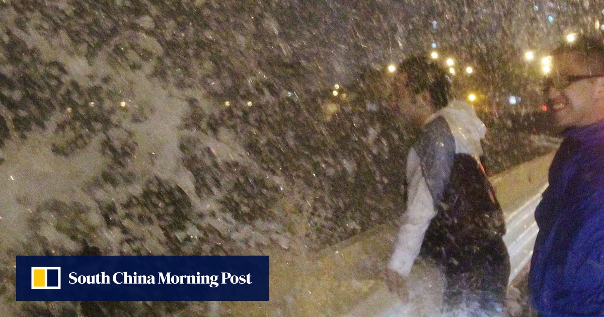 Five things to do (and avoid) in Hong Kong when the No 8 typhoon signal ...