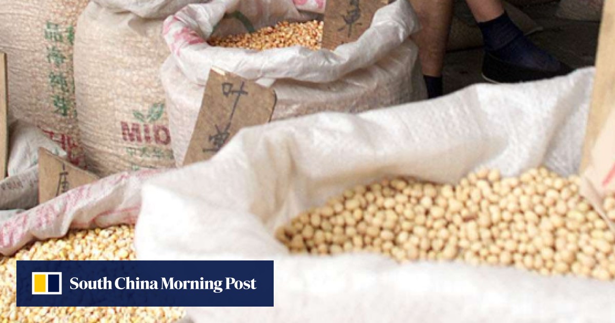 China backs genetically modified soya beans in push for high-tech ...
