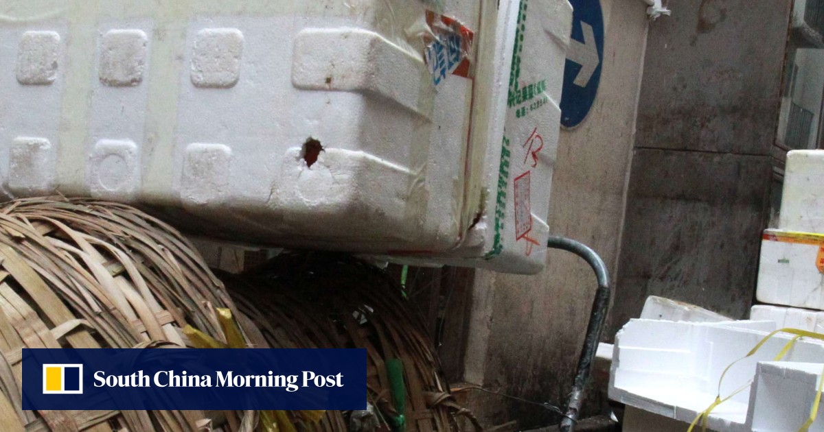 Hong Kong’s fisheries blame lack of recycling facilities for ...