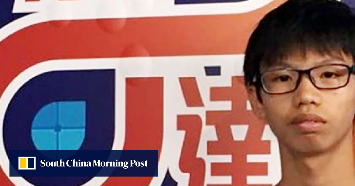 Conscript army needed if Hong Kong were to split from China, says pro ...