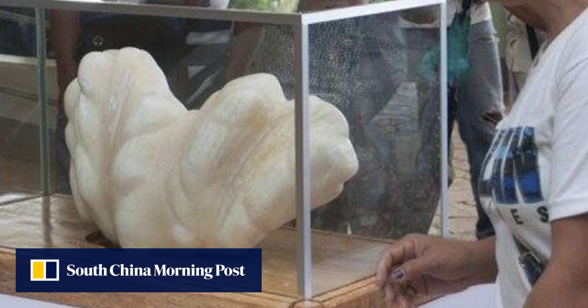 world's largest pearl found