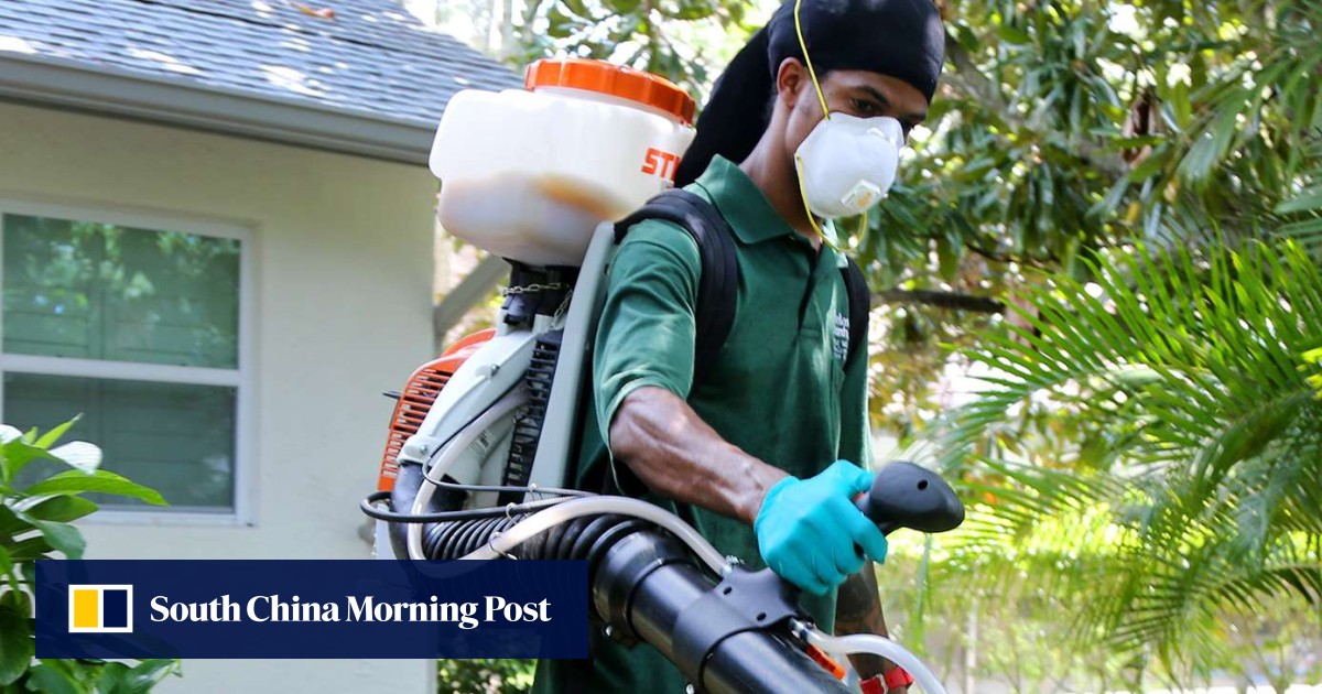 Florida’s Zika outbreak is spreading, as pregnant women are told to ...
