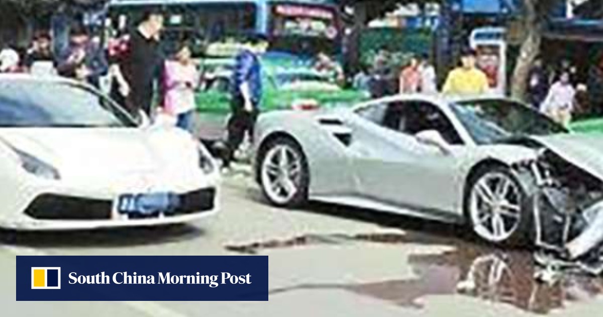 Ferrari drivers in China make dog’s breakfast of avoiding rambling pup ...