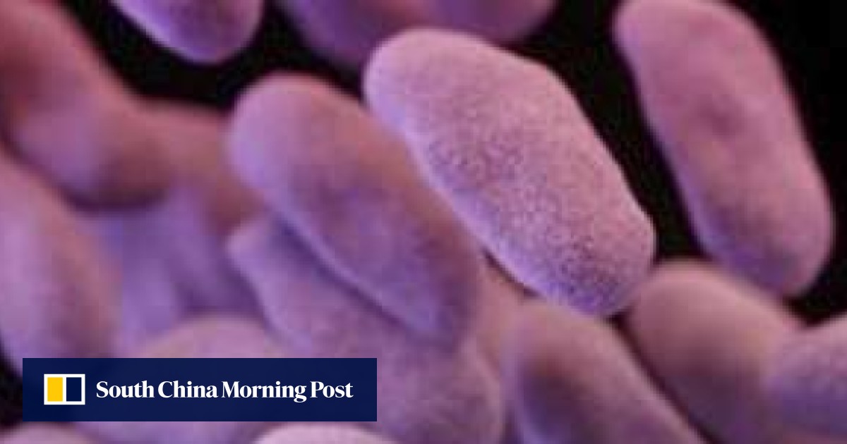 Don’t let the superbugs bite: This Week in Asia graphic | South China ...