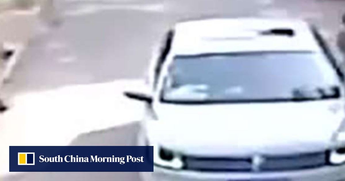 Survivor of tiger attack in Beijing says wildlife park should bear the ...