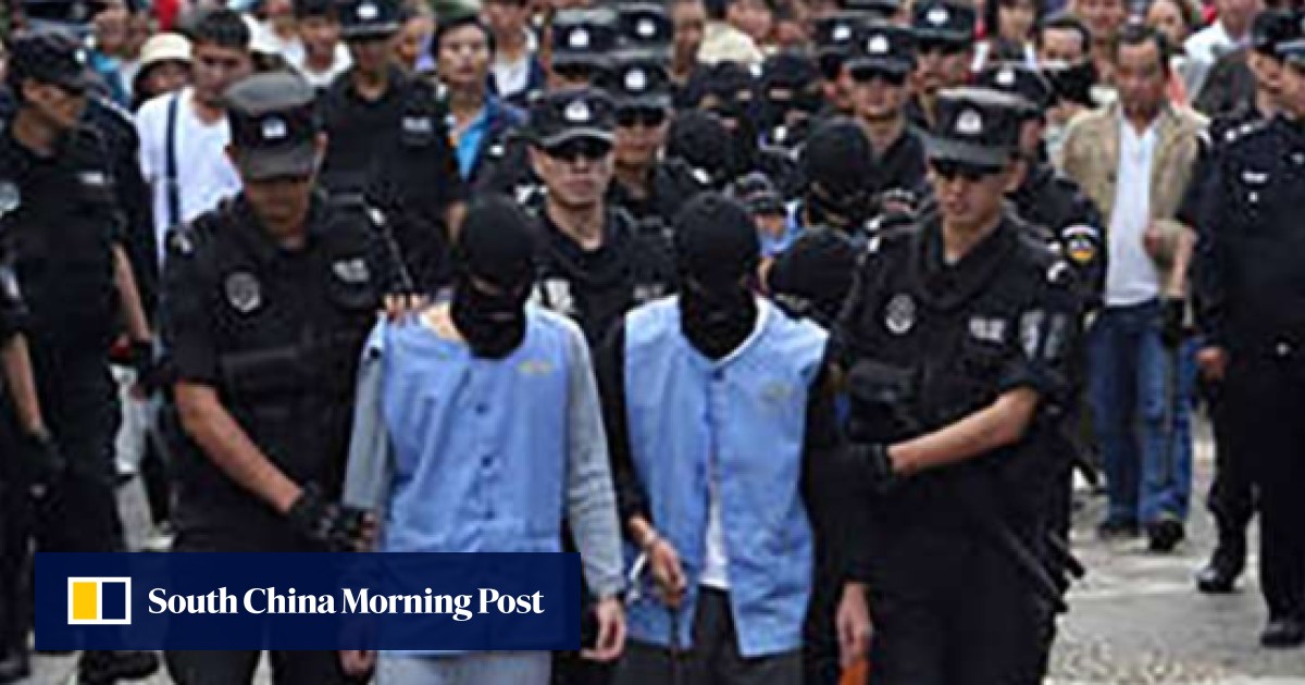 Young gang accused of carrying out eight robberies in eight days in ...