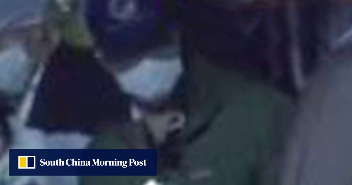 Chinese graduate student stabbed to death in her Tokyo apartment ...
