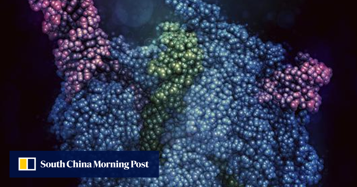 Chinese first to test CRISPR gene editing in humans | South China ...