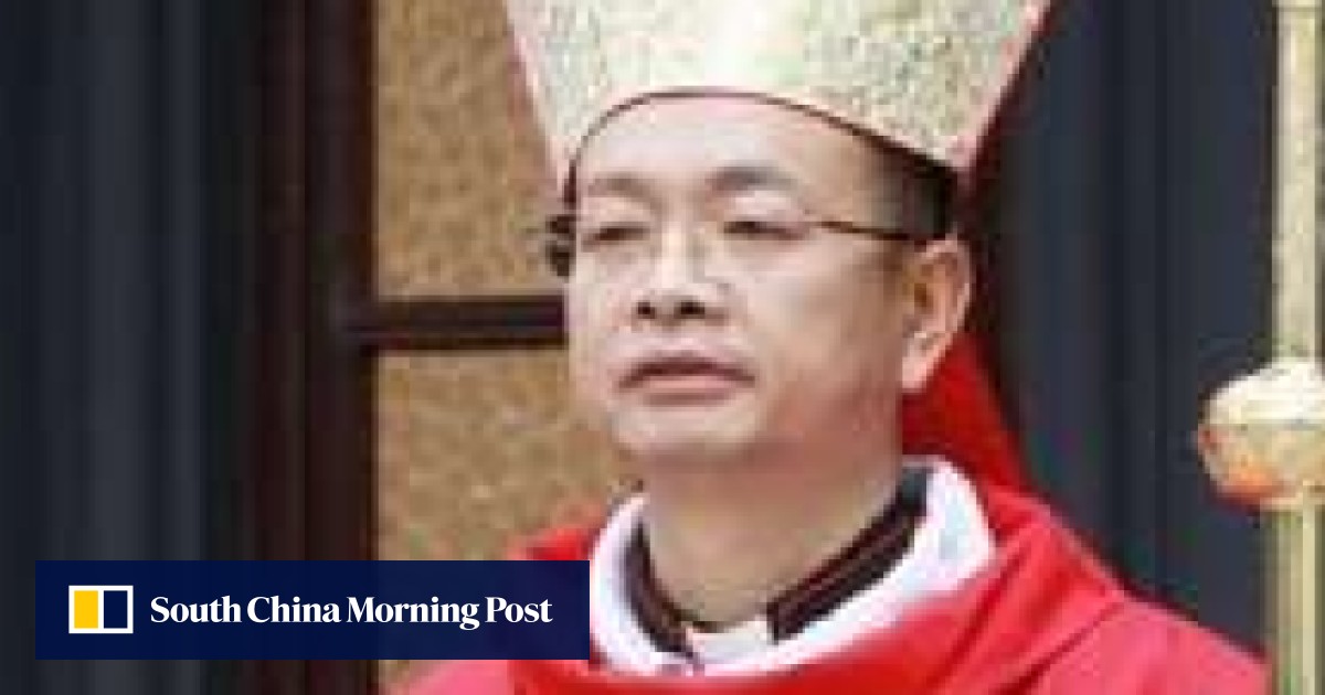 Two Chinese bishops recognised by Vatican ordained on the mainland ...